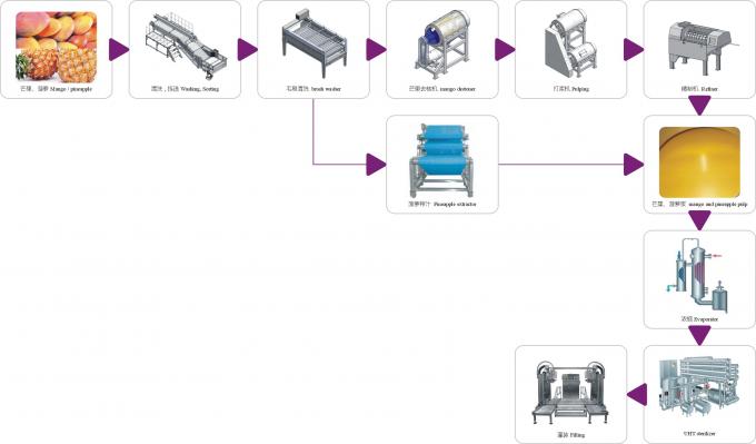 Pineapple Juice Production Pineapple Processing Line For Pineapple ...