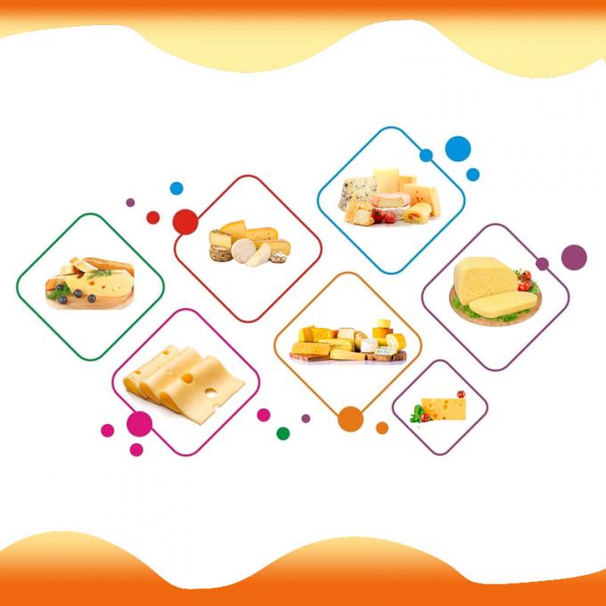 Aseptic Complete High Moisture Soft Cheese Production Line