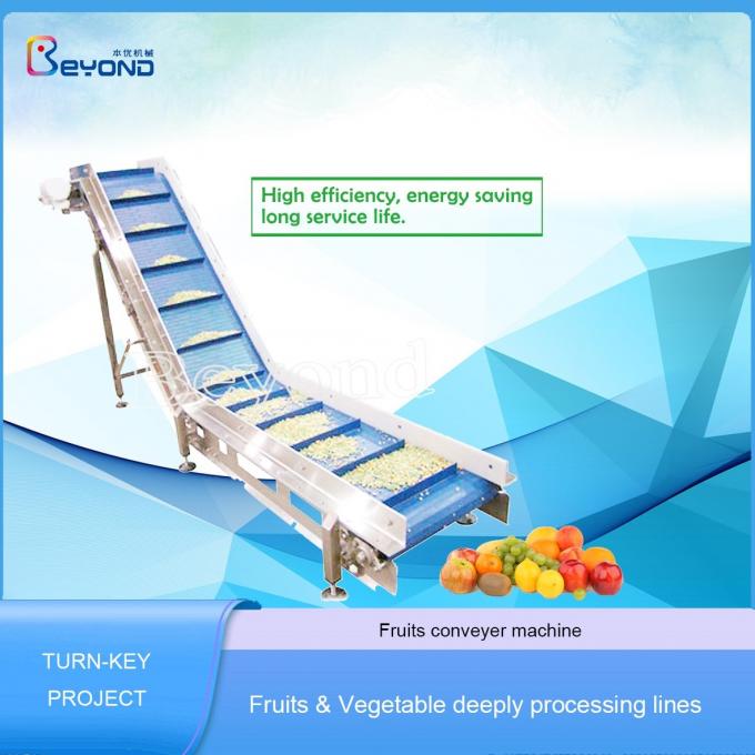 Industrial Fruit Processing Equipment Automatic Fruit Washing conveyor