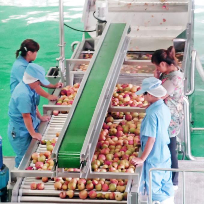 NFC Processing Fruit Juice Production Line 72 Brix