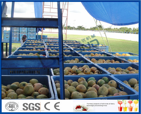 Automatic Mango Processing Line Juice Machine Industrial Commercial