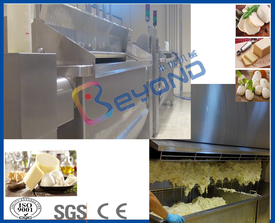 380V / 110V / 415V Industrial Cheese Making Equipment For Cheese ...