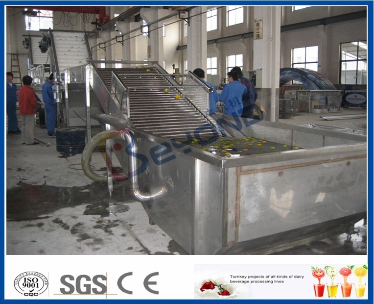 Surfing Type Fruit And Vegetable Washer Machine / Fruit And Vegetable ...
