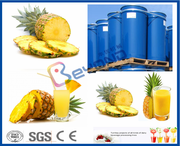 CE Pineapple Juice Extractor / Pineapple Processing Plant For NFC ...