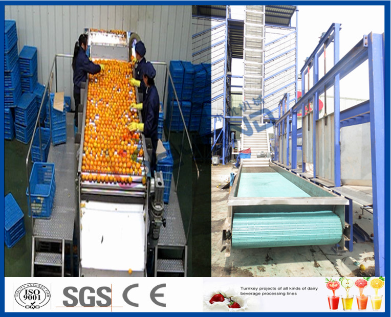 Orange Juice Manufacturing Process Orange Processing Plant , Orange ...