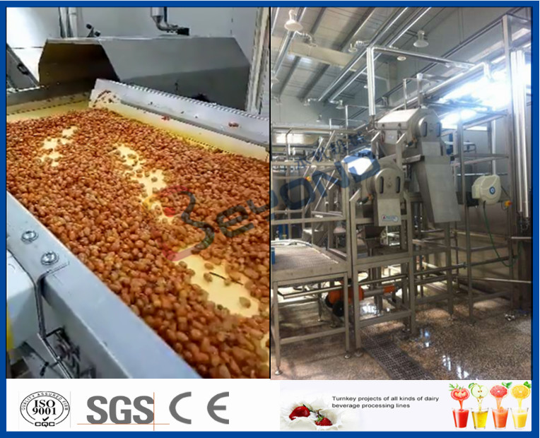 Fruit Processing Plant Juice Making Machine Orange Juice Extractor With ...