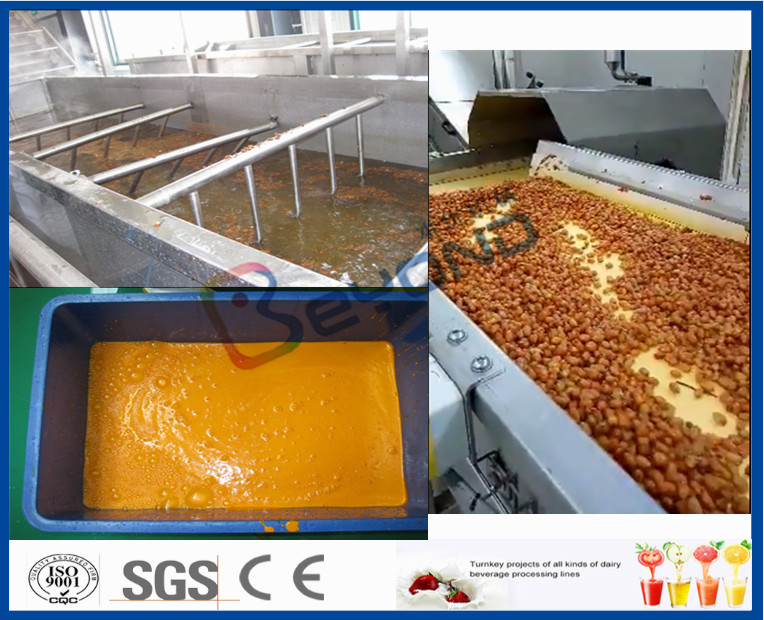 Fruit Processing Plant Juice Making Machine Orange Juice Extractor With ...
