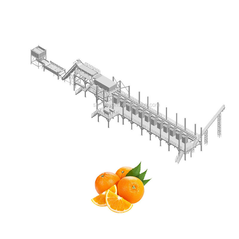 10TPH Automatic Orange Juice Extract Orange Processing Line For Juice ...